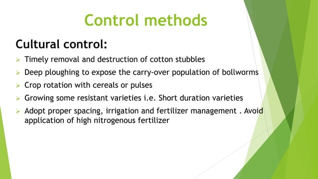 Insects pests of Cotton | PPTX