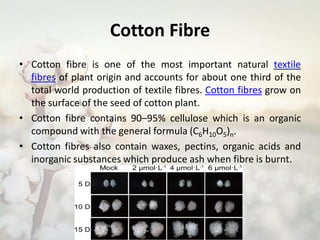 Cotton Presentation.pdf it's diseases and solutions | PDF