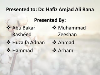 Cotton Presentation.pdf and discussion complete | PDF