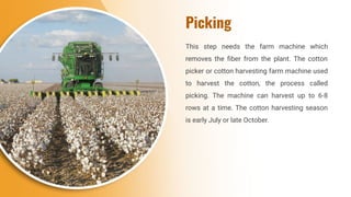 Cotton Production in India | PDF