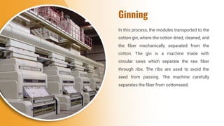 Cotton Production in India | PDF
