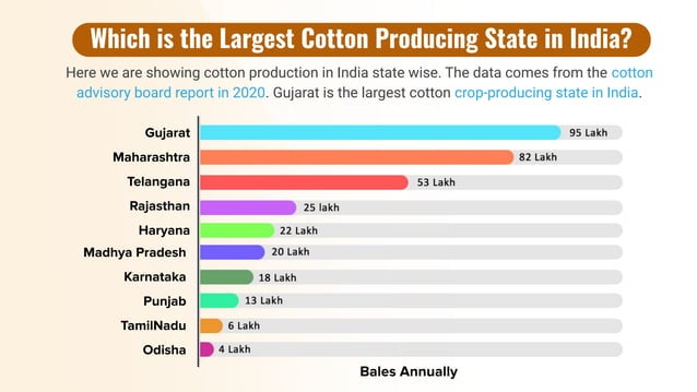 Cotton Production in India | PDF | Agriculture | Industries