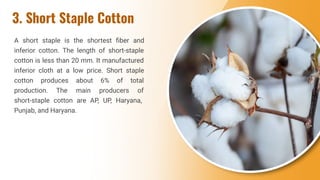 Cotton Production in India | PDF