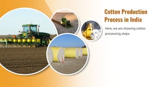 Cotton Production in India | PDF