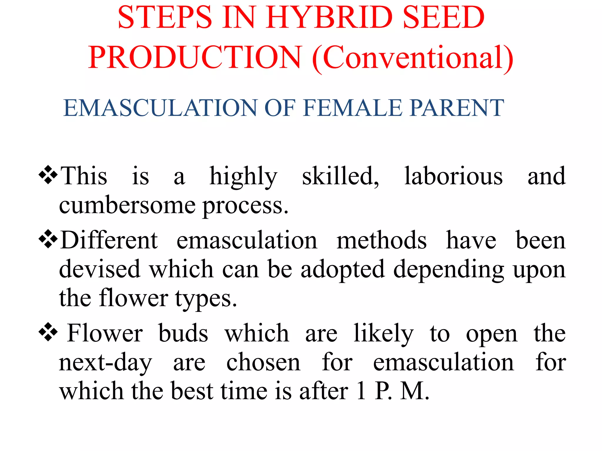 Hybrid Cotton Seed Production | PPTX