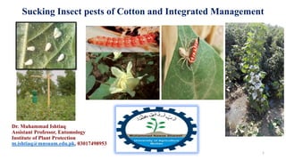 Cotton sucking Insect pests and Integrated management.pdf
