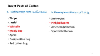 Cotton sucking Insect pests and Integrated management.pdf