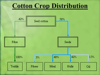 Cotton textile sector | PPTX
