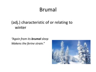 Call of the Wild, chap 1 | PPTX