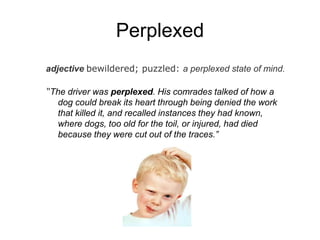 Call of the Wild, chapter 4 | PPTX