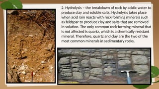 COT WEATHERING powerpoint presentation in earth and life science | PPTX