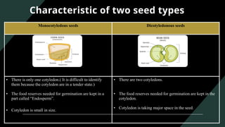 Introduction to Cotyledons agriculture.pptx