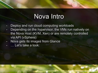 Couch to OpenStack: Nova - July, 30, 2013 | PPTX
