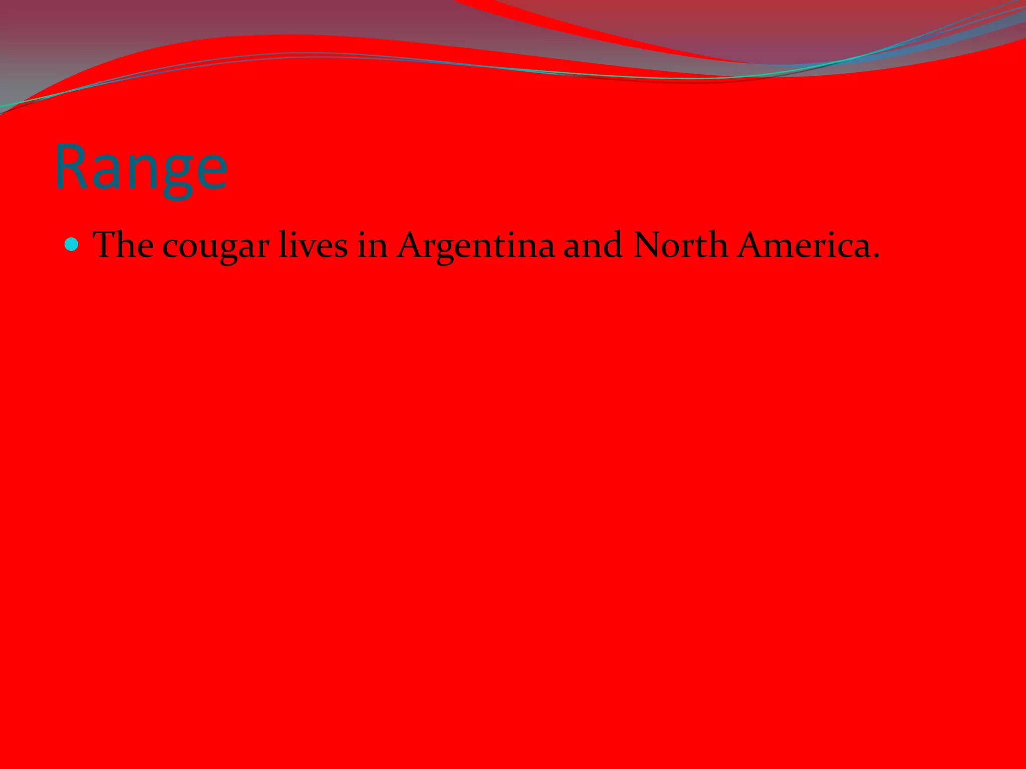 Cougar powerpoint | PPTX