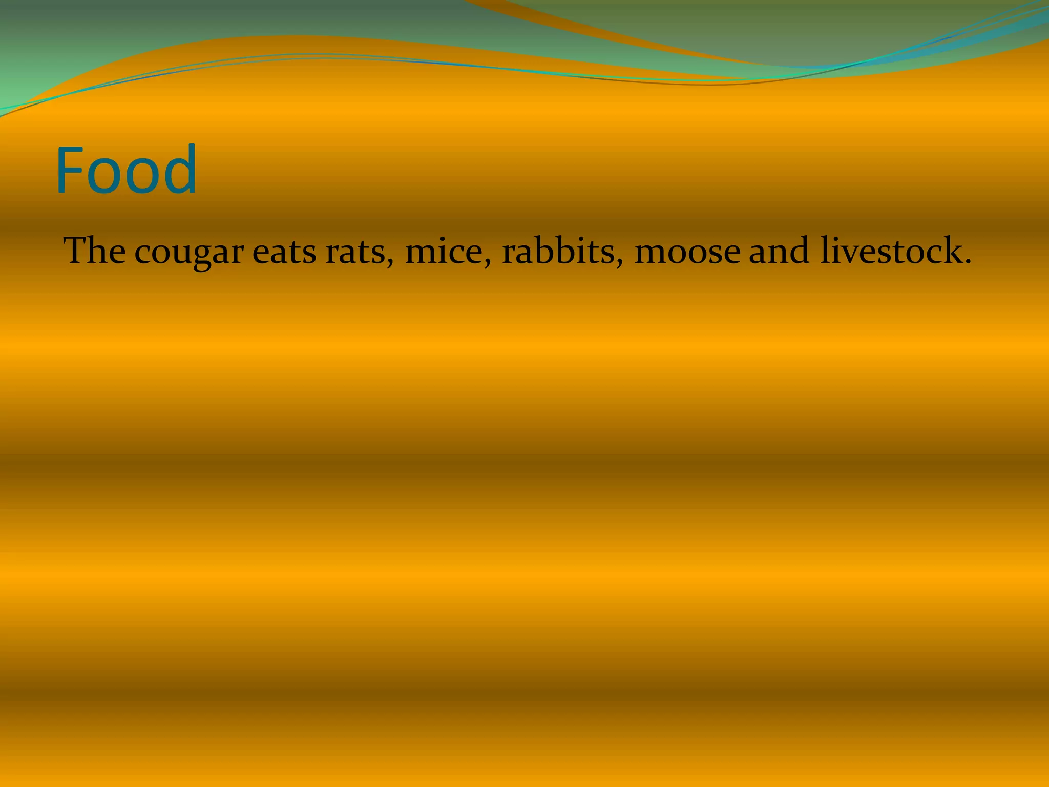 Cougar powerpoint | PPTX