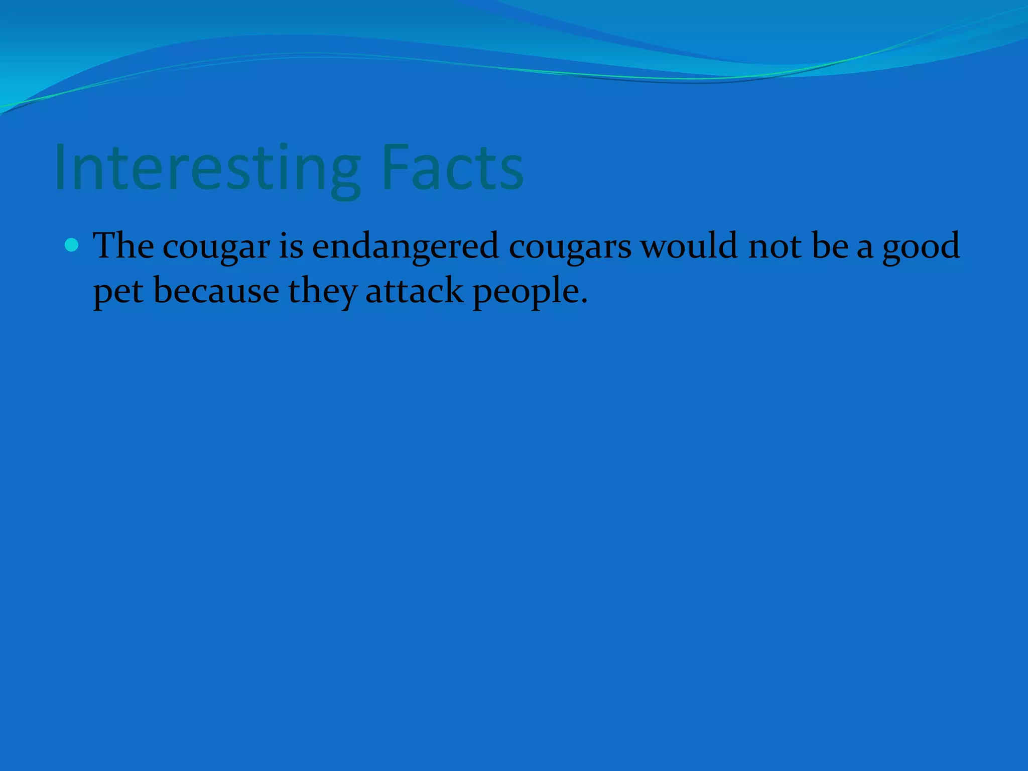 Cougar powerpoint | PPTX