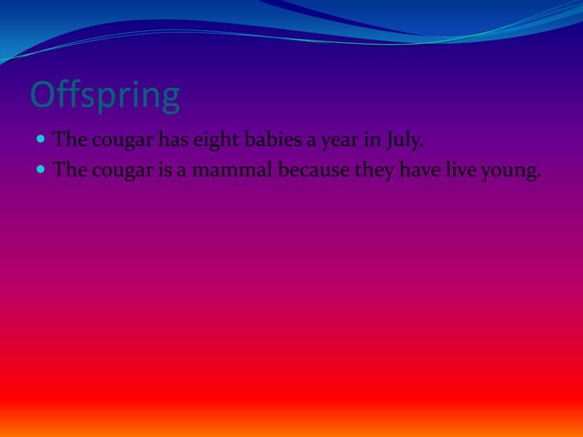 Cougar powerpoint | PPTX