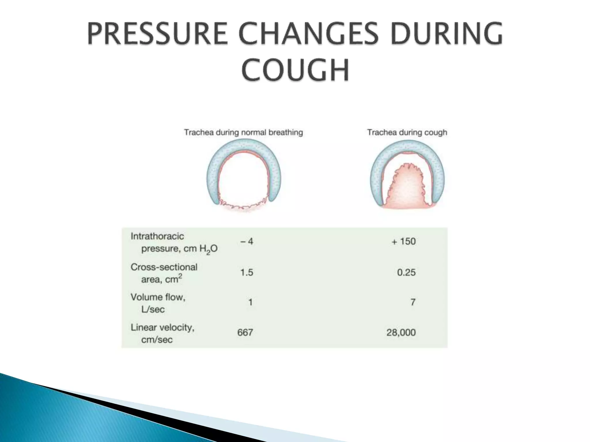 Cough | PPTX