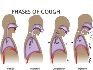 Cough | PPT