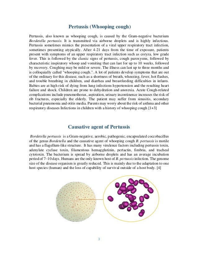 Pertussis (whooping cough) | PDF
