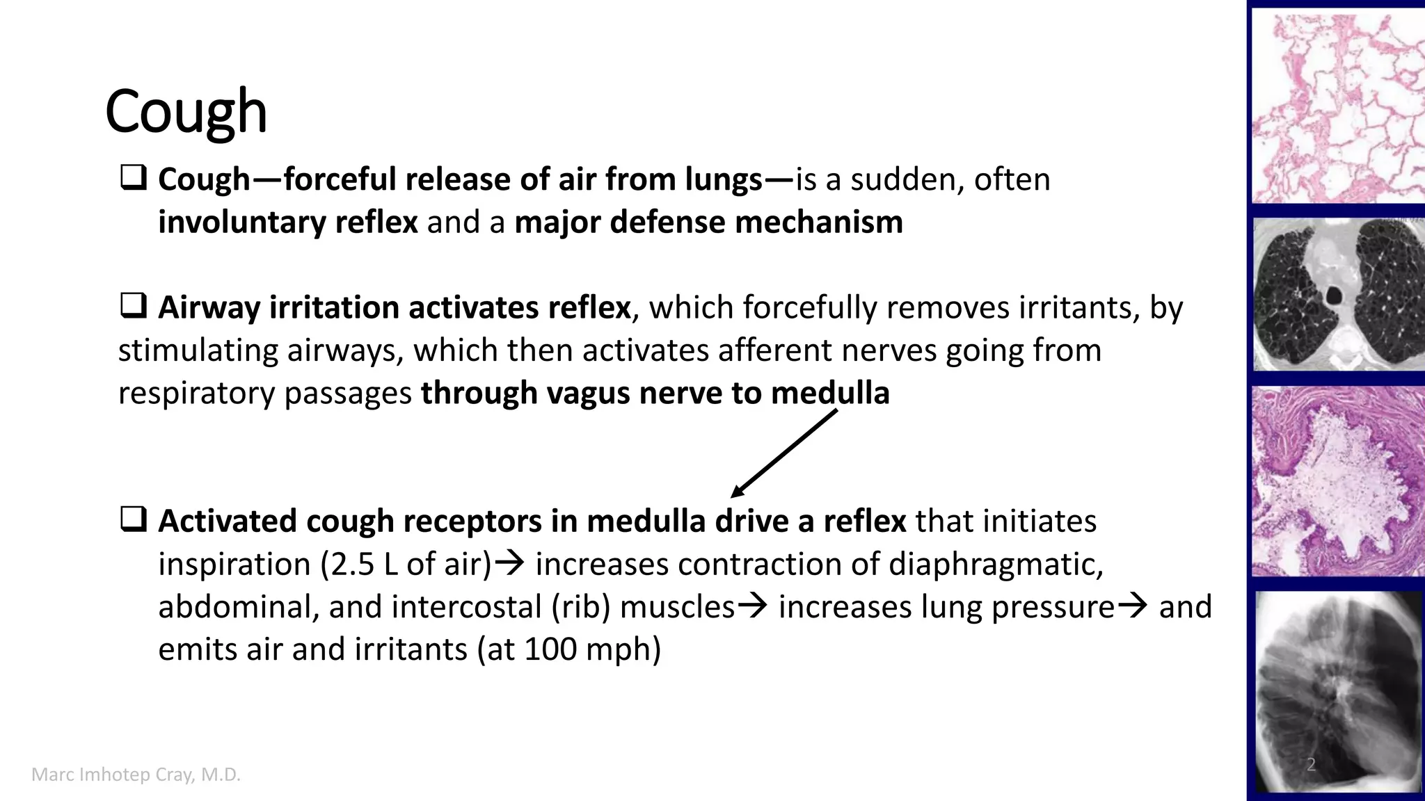 Cough and cough suppressants (antitussive agents) | PDF