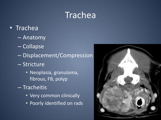 The Radiographic Approach to the Coughing Dog | PPTX