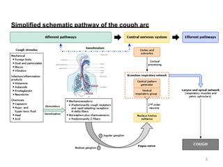Cough in infant and children | PPTX