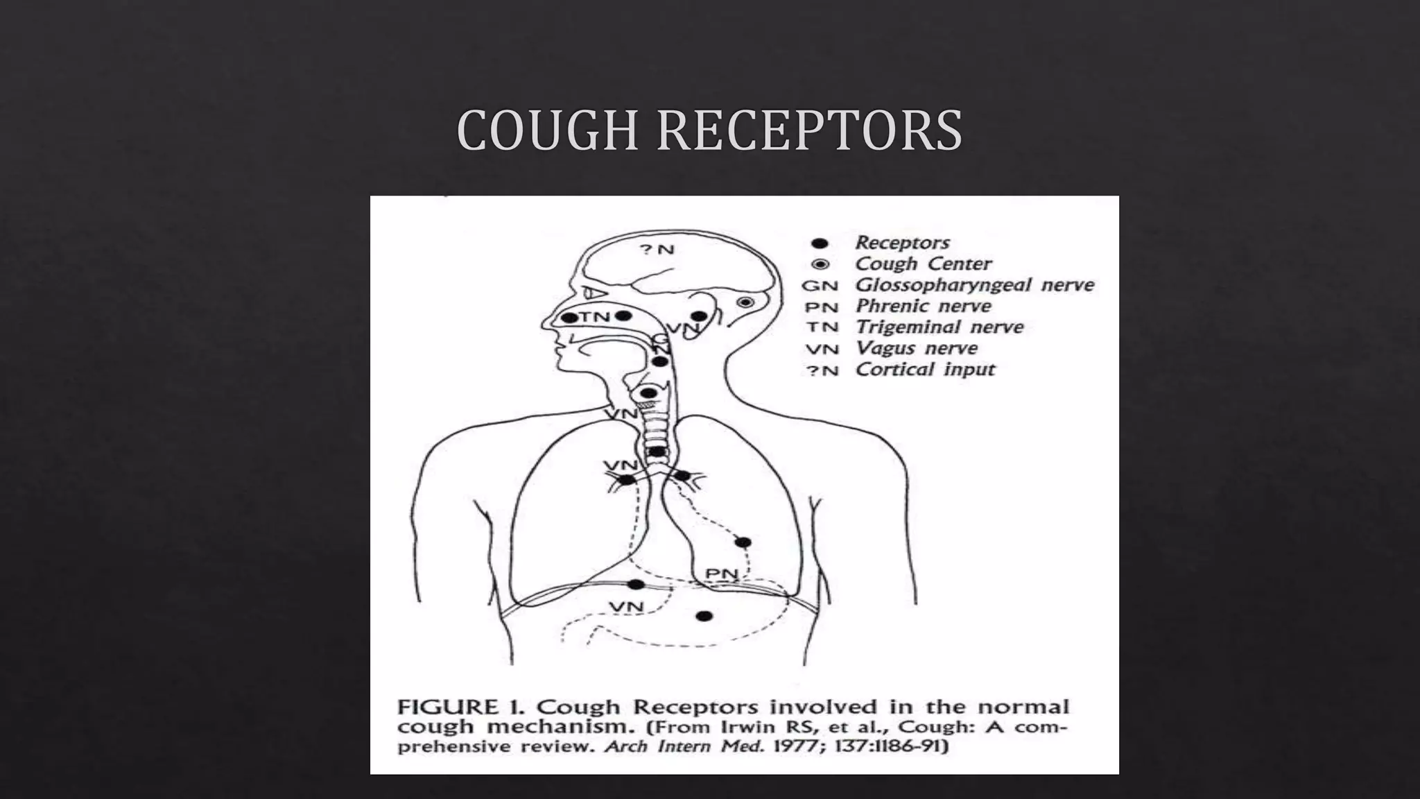 Cough reflex and sputum examination | PPT