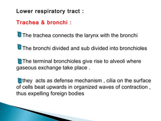 Cough responding to symptoms lec. 2 | PPT