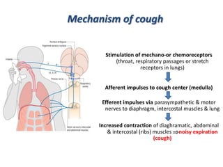 Cough suppressants & expectorants | PPTX
