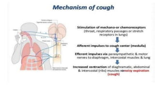 COUGH THERAPY.pptx types and mechanism and medications | PPTX