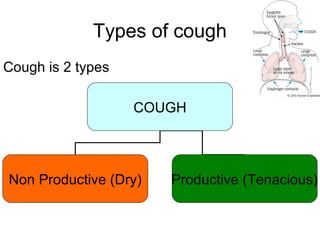 Cough (VK) | PPT