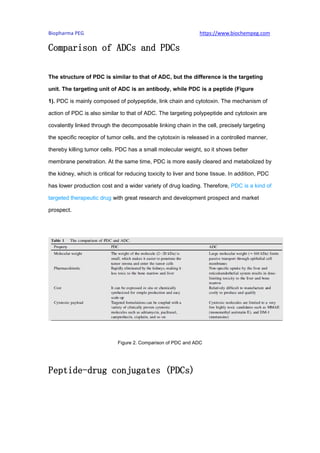 Could PDC Be A New Direction For Targeted Therapy After ADC.pdf