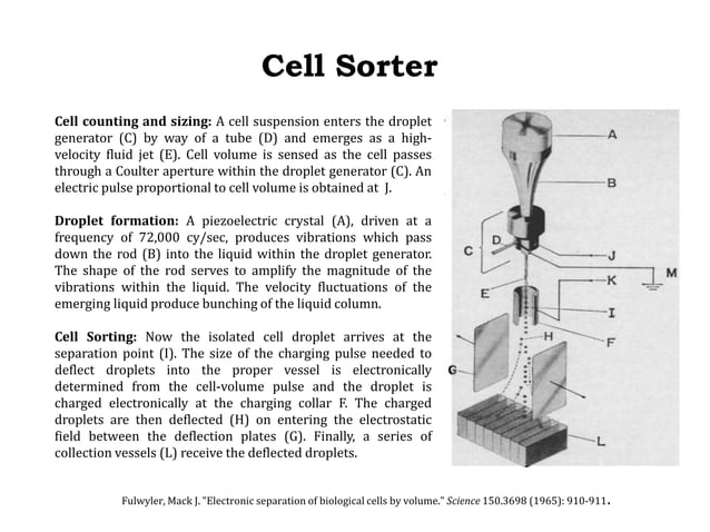 Coulter Counter | PPTX | Chemistry | Science