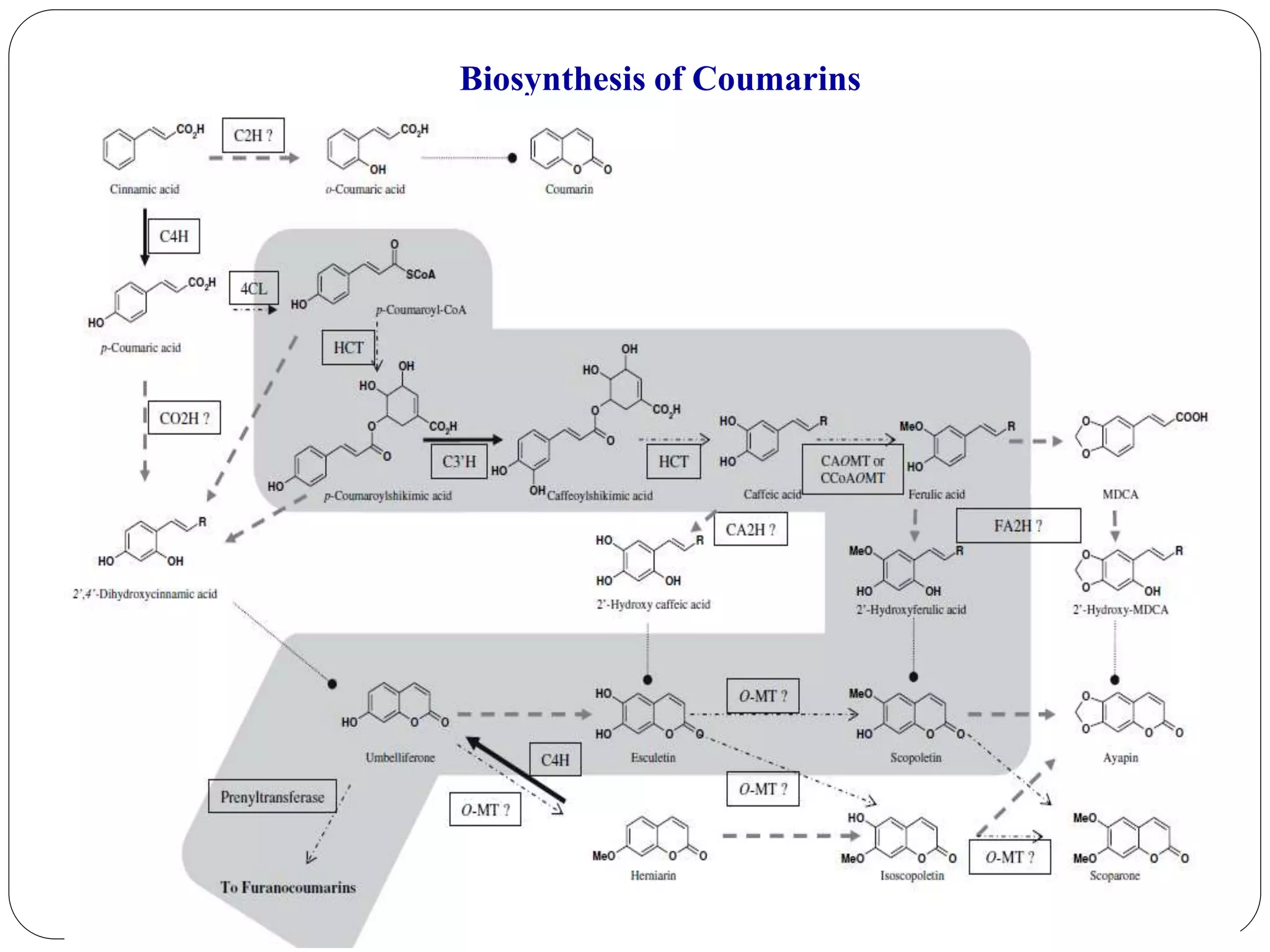 Coumarin ; Synthesis and Medicinal properties | PPT