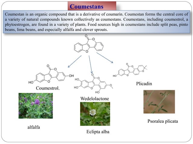 Coumarin ; Synthesis and Medicinal properties | PPT | Chemistry | Science