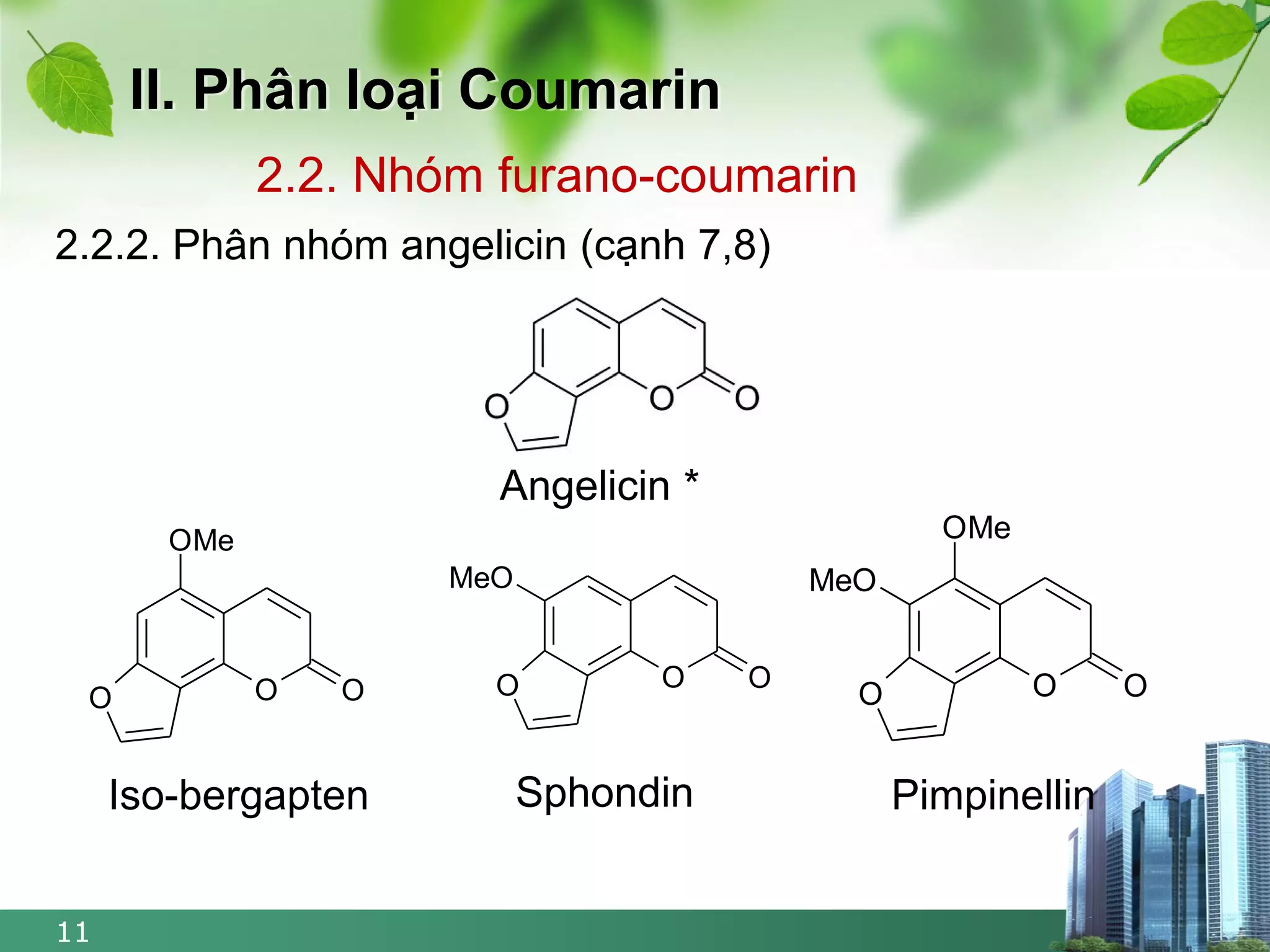Coumarin va duoc lieu chua coumarin | PDF