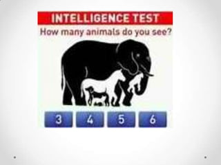 Intelligence Test How Many Animals Do You See