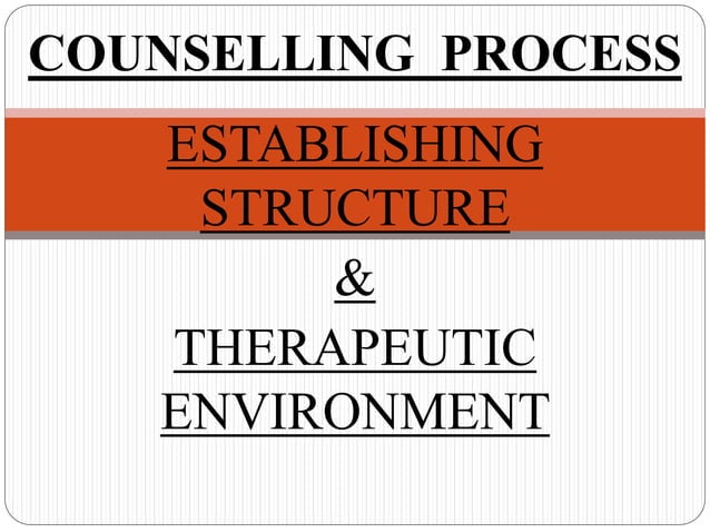 COUNSELLING PROCESS counselling ppt 2.pdf