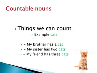 countable-and-uncountable-nouns-some-and-any_91703.pptx