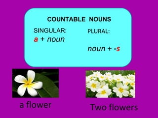 Countable uncountable-nouns | PPT