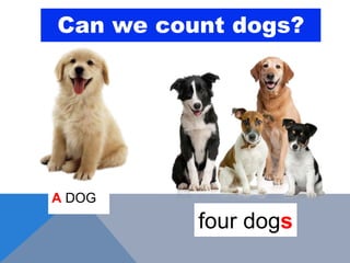 countable-uncountable-nouns-grammar-guides_107401.pptx