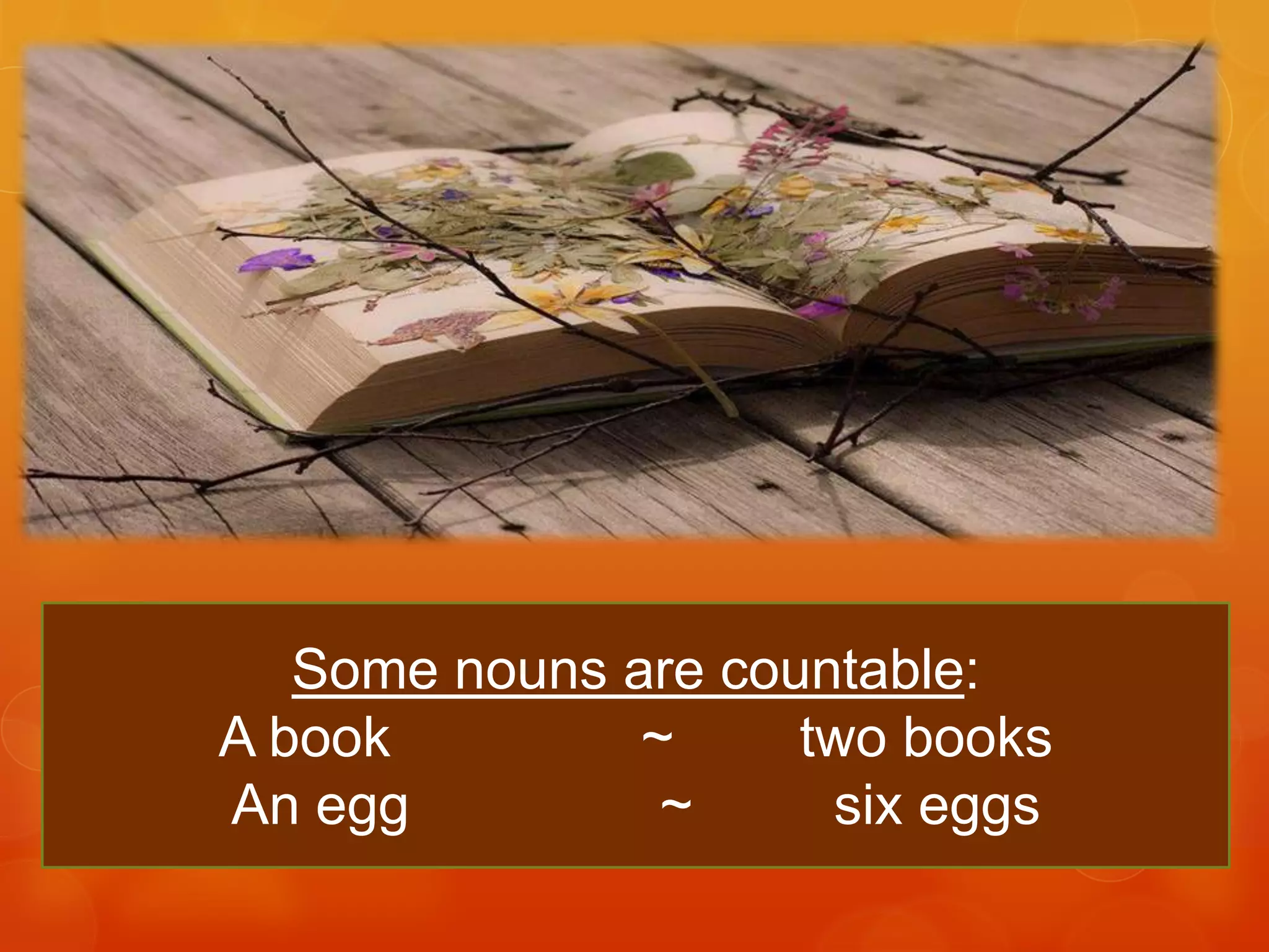 Countable uncountable nouns | PPTX
