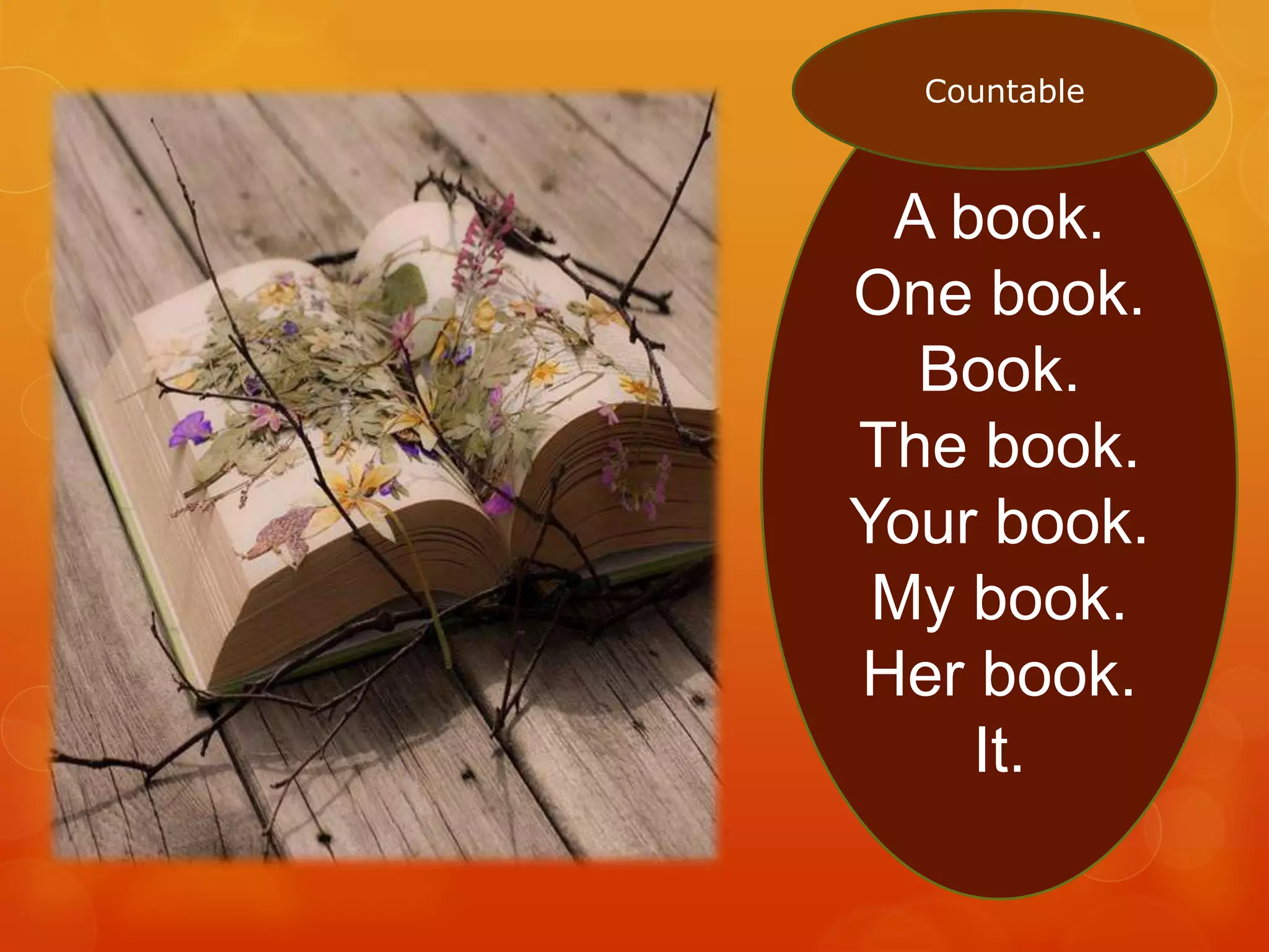 Countable uncountable nouns | PPTX