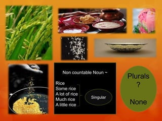 Countable uncountable nouns | PPTX