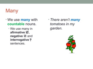 Countable and uncountable nouns | PPT