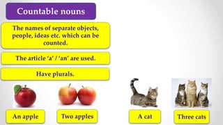 Countable and Uncountable Nouns in English Grammar | PPT