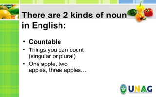 countables and uncountables...English..pdf