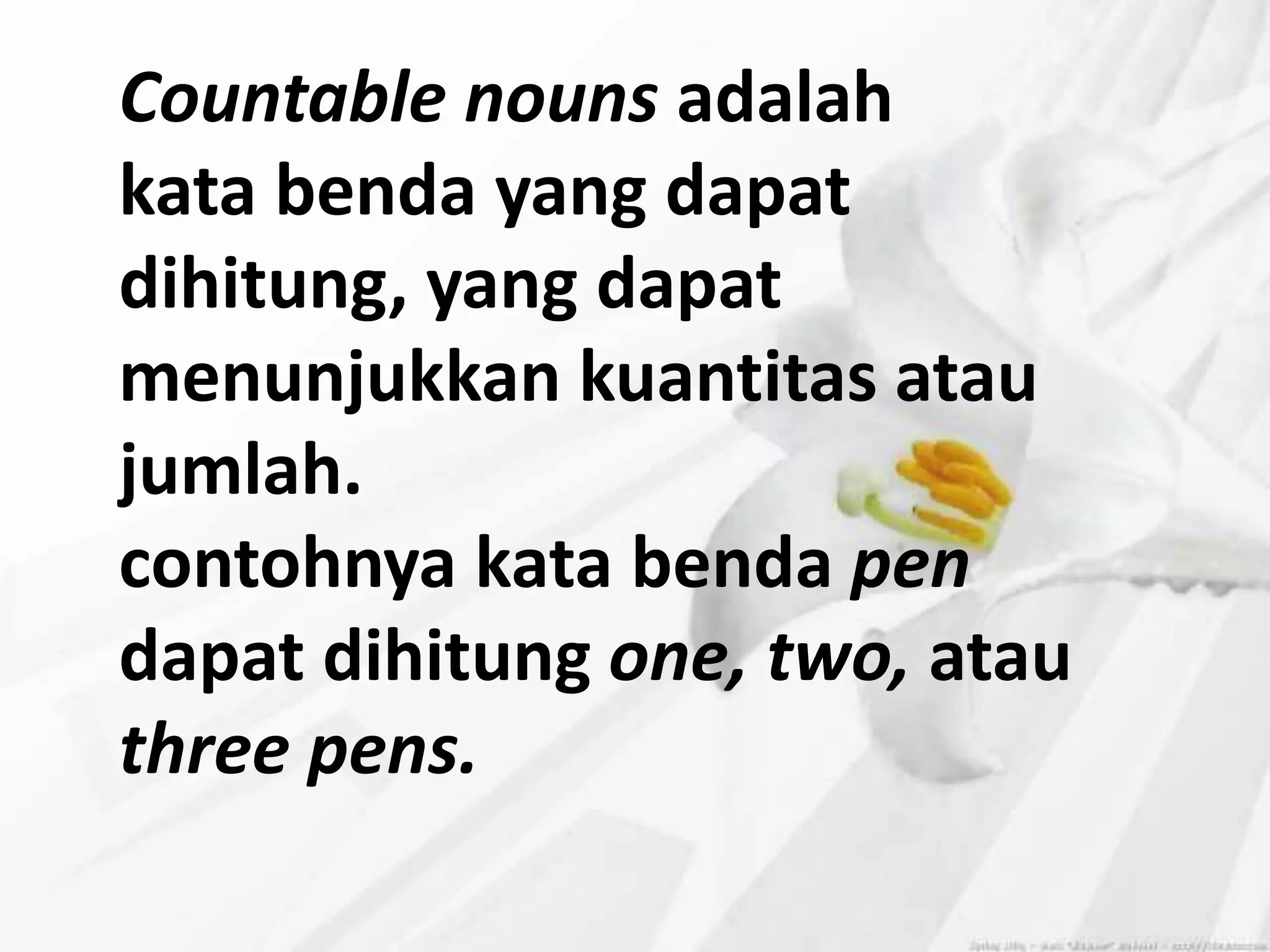 Countable & uncountable noun | PPTX