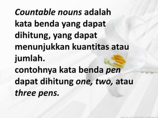Countable & uncountable noun | PPTX
